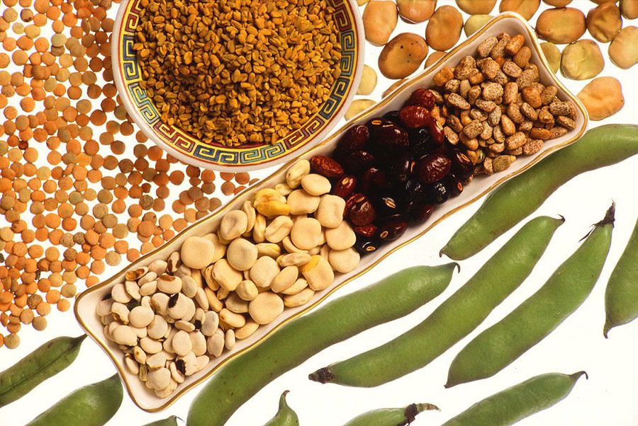 Symbiotic Phosphorate Acquisition by Arbuscular Mycorrhiza